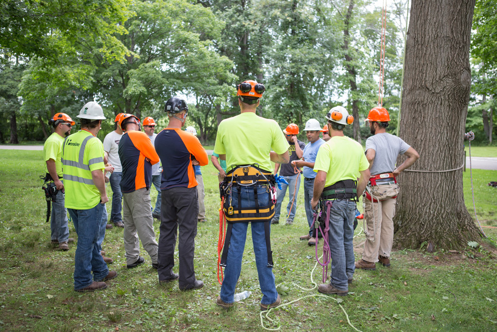 Our Brands - Utility Vegetation Management Jobs | ACRT Services