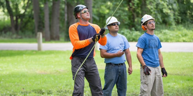 Hiring at Our Vegetation Management Companies - Utility Vegetation ...