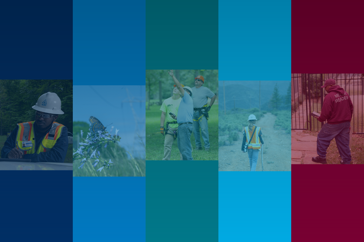 Utility Vegetation Management Jobs | ACRT Services