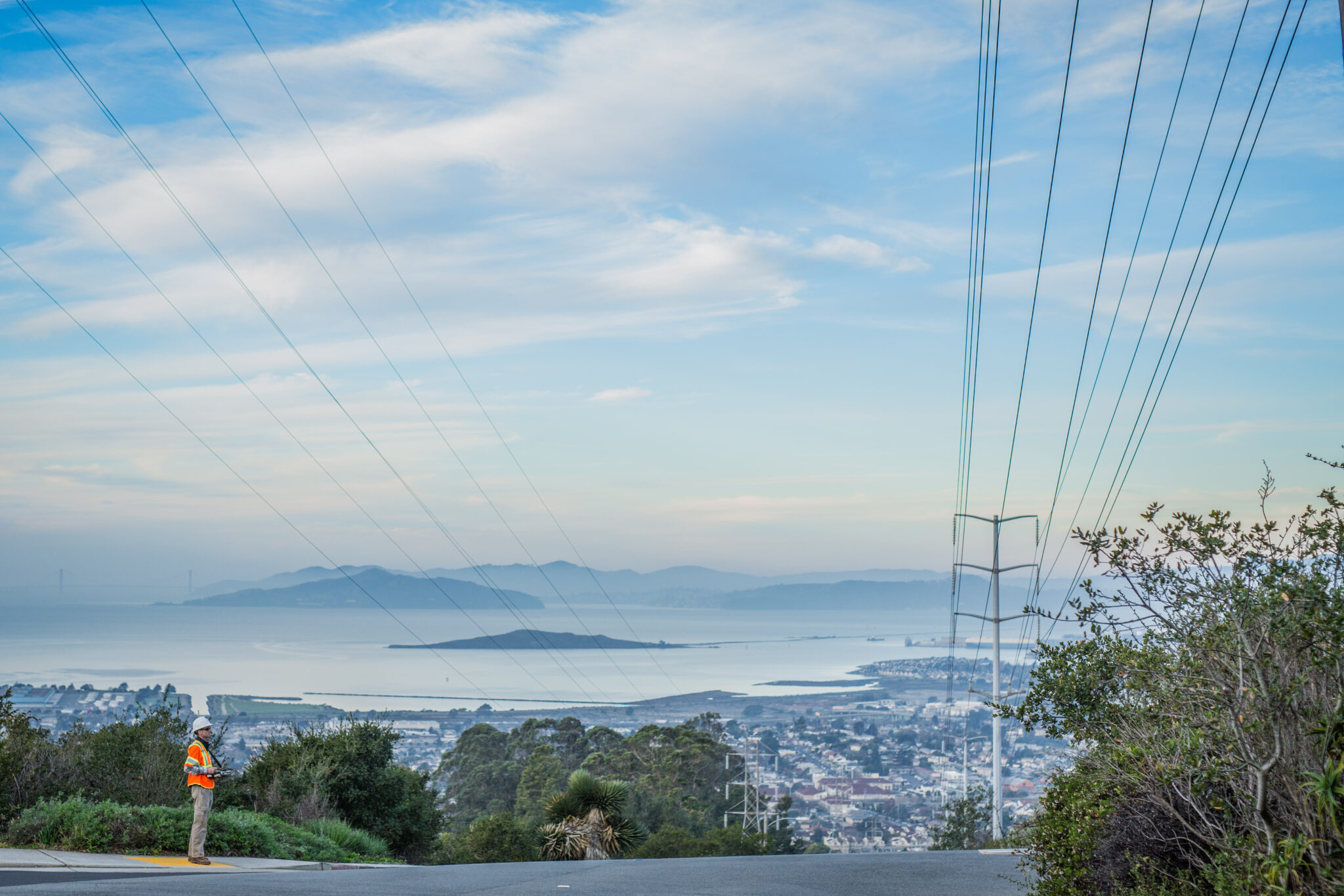 Find the Right Fit: The ACRT Services Guide to Utility Vegetation ...